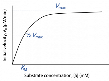 Enzyme Kinetics & The Michaelis-Menten Equation – BIOC*2580: Introduction to Biochemistry
