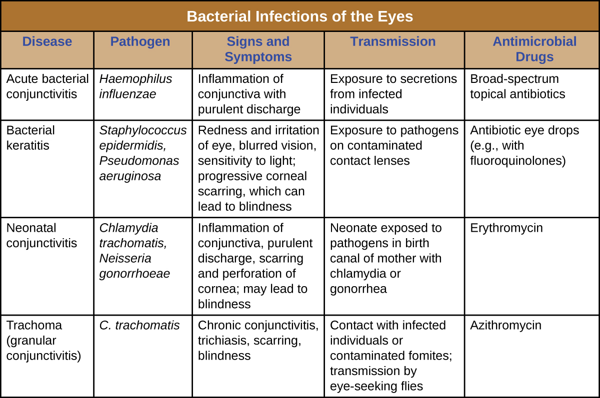 22 2 Bacterial Infections Of The Skin And Eyes Microbiology Canadian