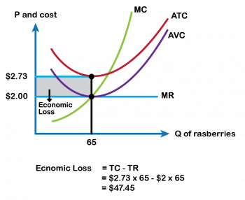 8.5 Economic Loss and Shut Down in the Short Run – Principles of ...