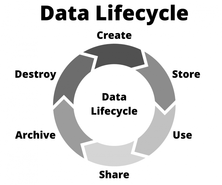 Section 4: The Data Lifecycle – Driving Change in the Health Sector: An ...