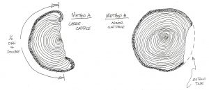 3.2 Determining Tree Diameter – Forest Measurements: An Applied Approach