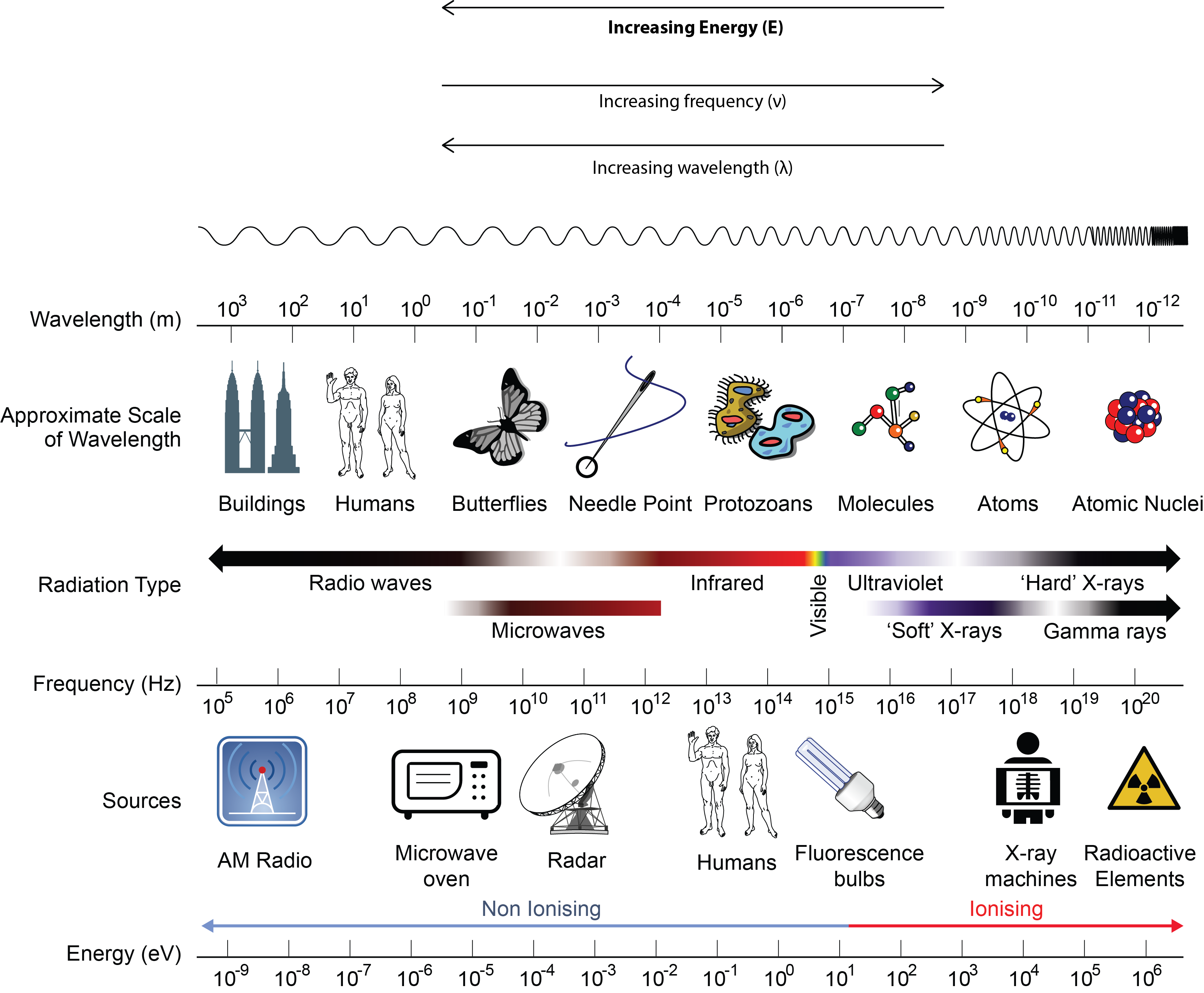 10.1 Electromagnetic Radiation – DRAFT – Enhanced Introductory College ...