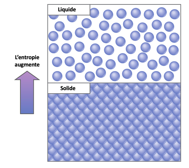 6.3 Les lois de la thermodynamique – Introduction à la biologie cellulaire et moléculaire