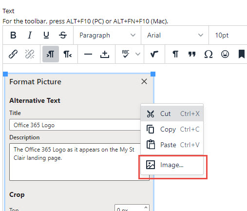 Adding Alt-tags in MS 365 and Blackboard – A Quick Guide to Digital ...