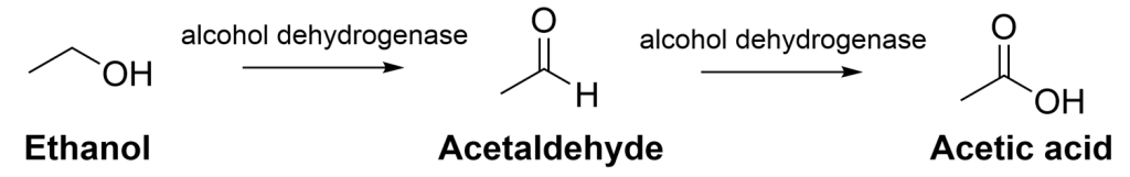 3.3 – Oxidation of Alcohols – Page 2 – Organic Chemistry and Chemical ...