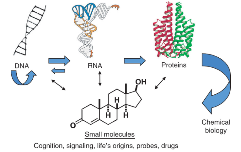 4.1 – Overview of Chemical Biology – Page 2 – Organic Chemistry and ...