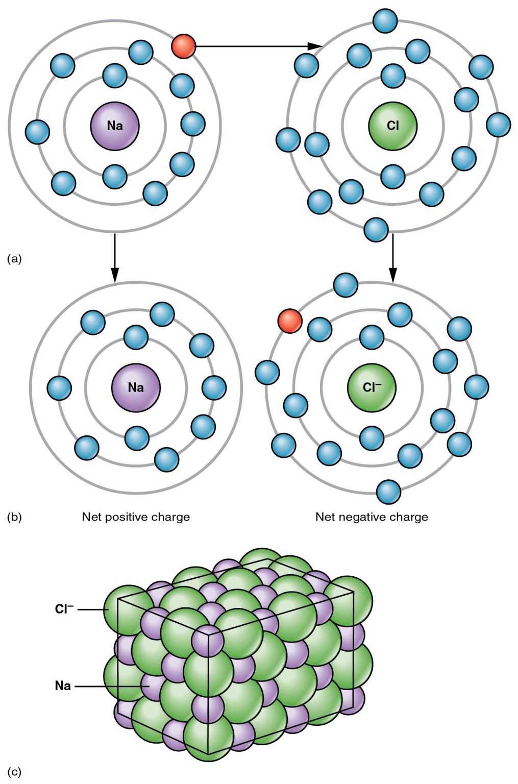 2.2 Chemical Bonds – Mohawk – PN Structure & Function of the Human Body 2.2 Chemical Bonds – Mohawk – PN Structure & Function of the Human Body