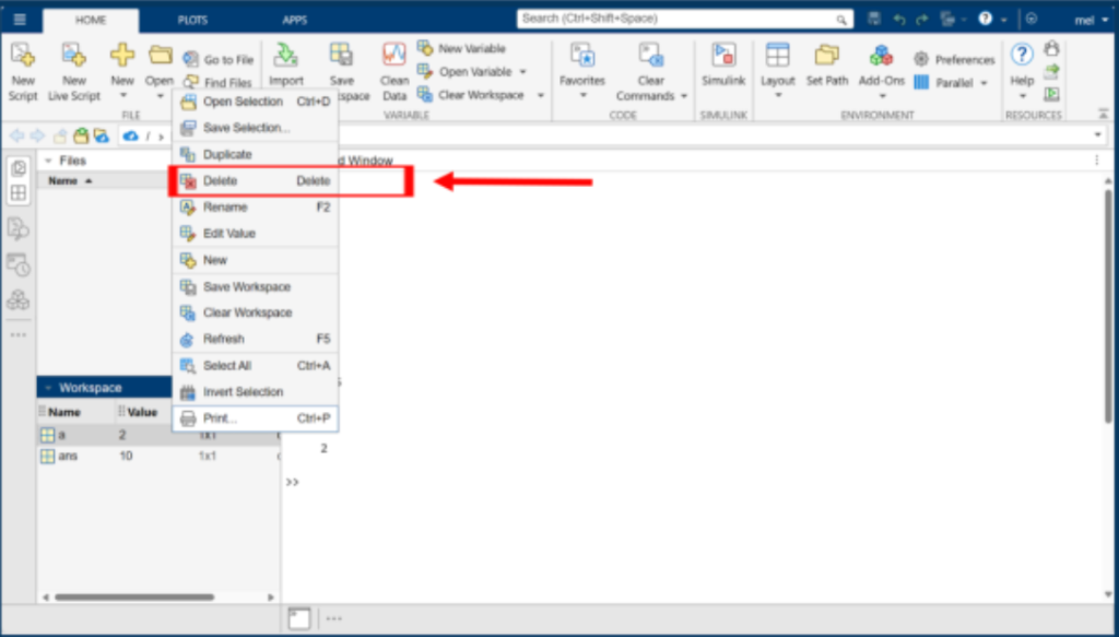 How to assign and create variables – Tech Tangerine Guide – Matlab