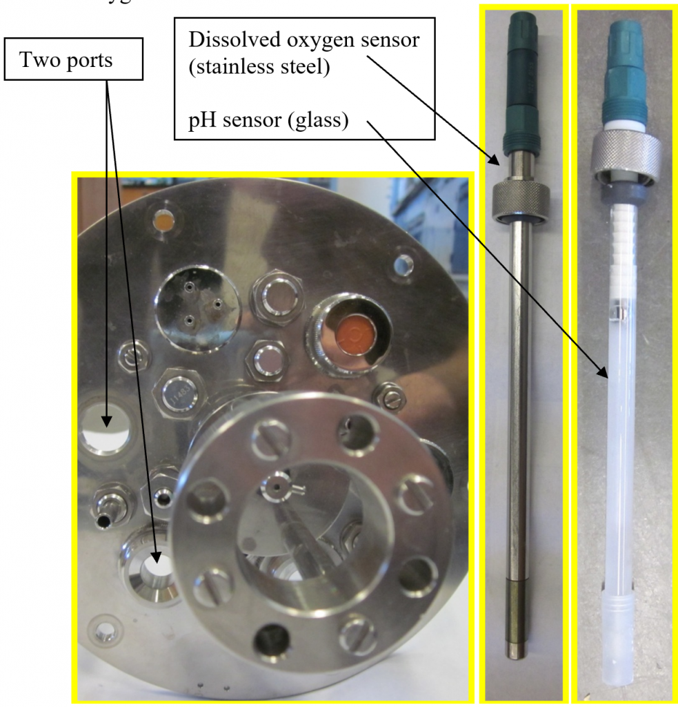 Experiment 10 Bioreactor Instrumentation Proctech 2ec3 Lab Manual