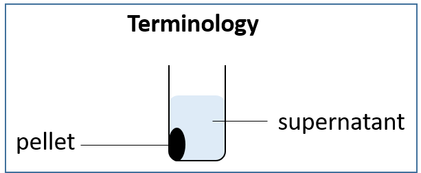 Protocol for bacterial transformation – heat shock method – BBS OER Lab ...